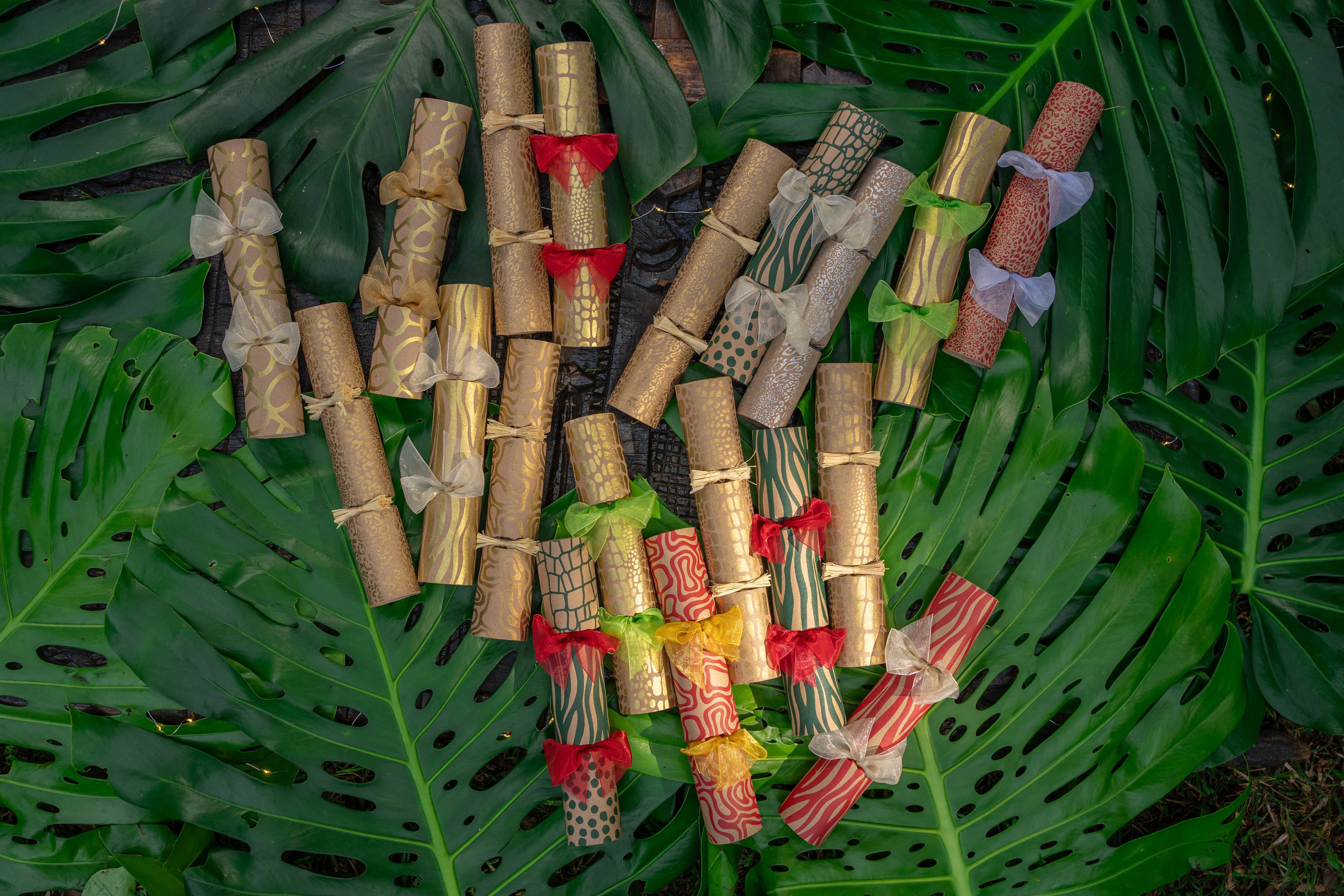 Dragonfly Crackers