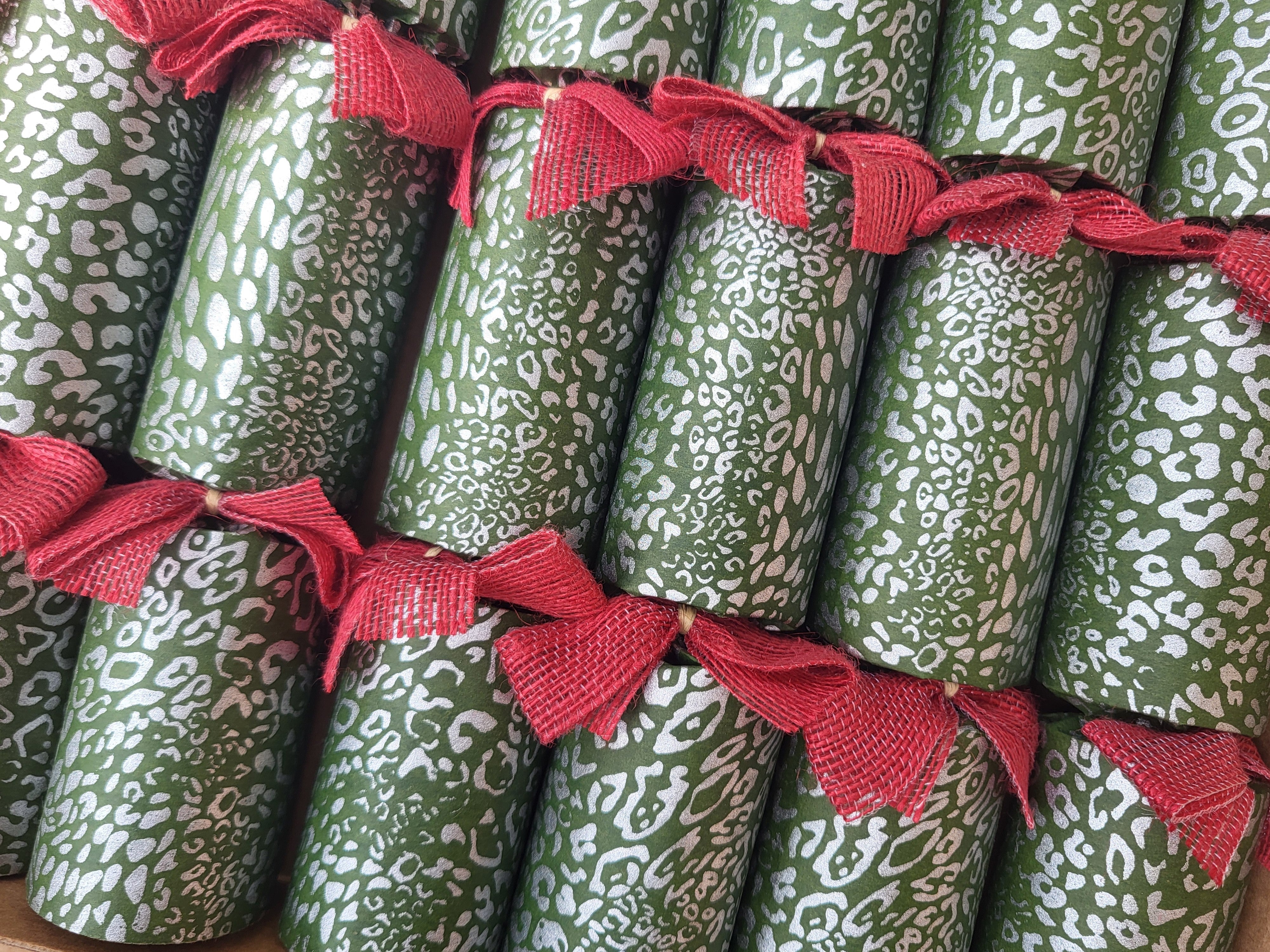 Eco Safari - Leo - #A001 – Dragonfly Crackers