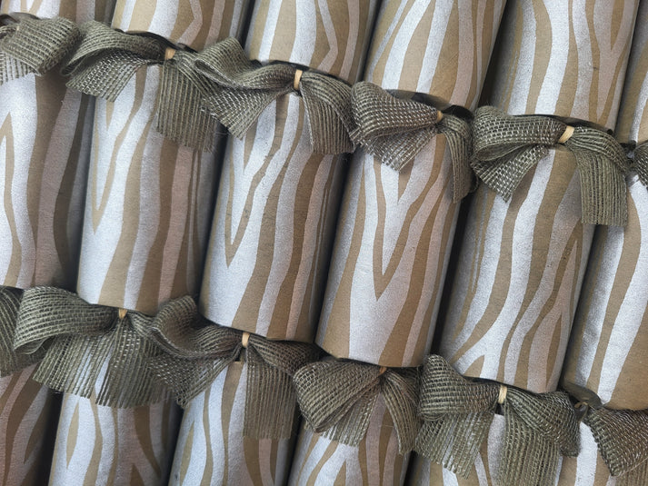 Eco Safari - Zebra #B001 – Dragonfly Crackers